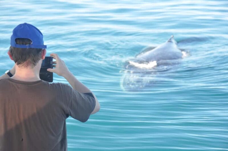 Broome: Whale Watching & Sunset Cruise - Setting Sail for an Unforgettable Experience