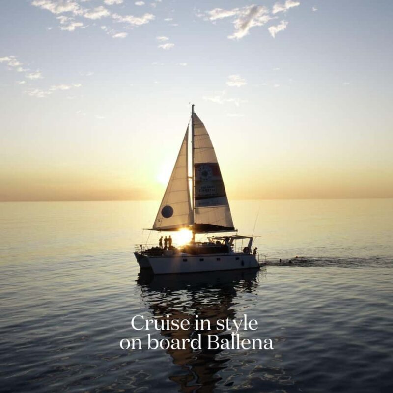 Broome's Iconic Catamaran Sunset Cruise - The Sum Up
