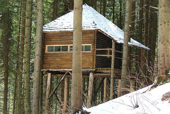 Brown Bears in the wild, no fence - Final Thoughts: Is It a Must-Do?