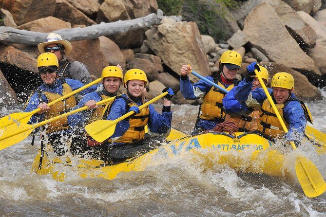 Browns Canyon Half-Day Whitewater Rafting Tour from Buena Vista - Key Points  