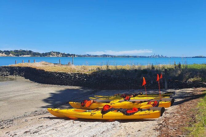 Browns Island Motukorea Sea Kayak Tour - What makes this tour stand out?