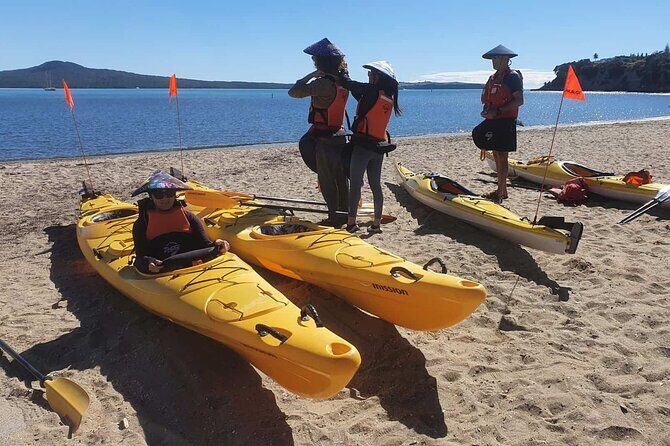 Browns Island Motukorea Sea Kayak Tour - Practical Tips for Travelers