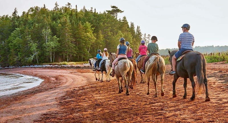 Brudenell: Family-Friendly Horse Ride goes on the Beach - An In-Depth Look at the Brudenell Horseback Ride