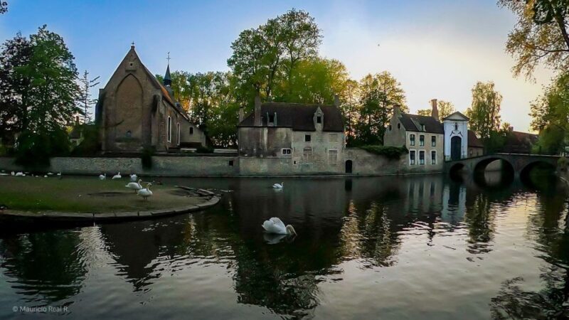 Bruges: Private Historical Highlights Walking Tour - The Experience: Walking Through Bruges’ Historic Heart