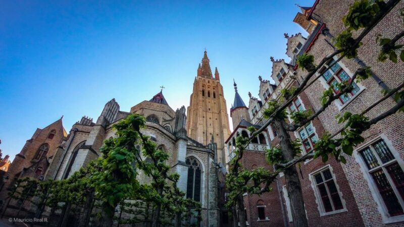 Bruges: Private Historical Highlights Walking Tour - Final Thoughts: Is This Tour for You?
