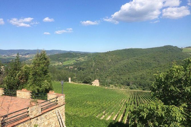 Brunello and Montepulciano Wine Tour from Cortona - Final Thoughts