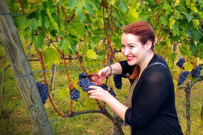 Brunello and Nobile, Wine Lover Tour Montalcino and Montepulciano - Final Thoughts