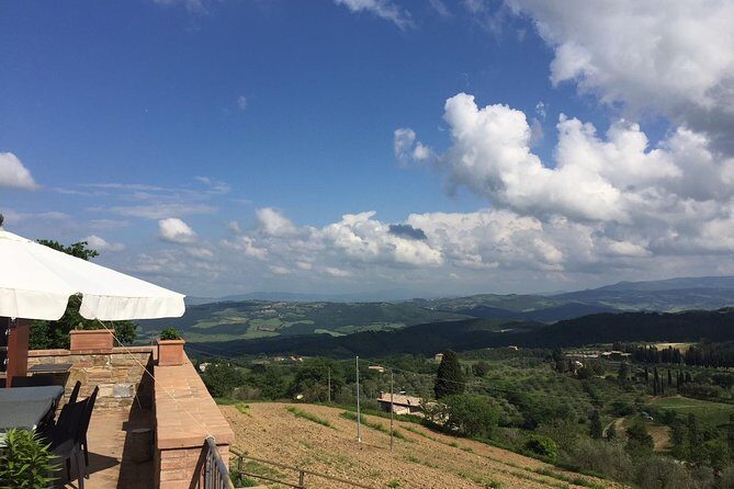 Brunello di Montalcino, small biodynamic wineries - Departure and Scenic Drive to Chianti