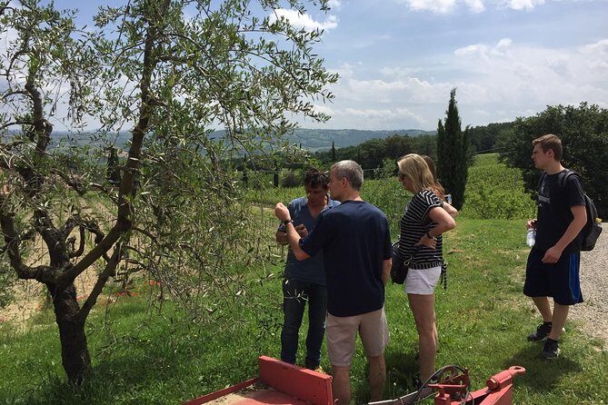 Brunello di Montalcino, small biodynamic wineries - Return Journey and Final Views
