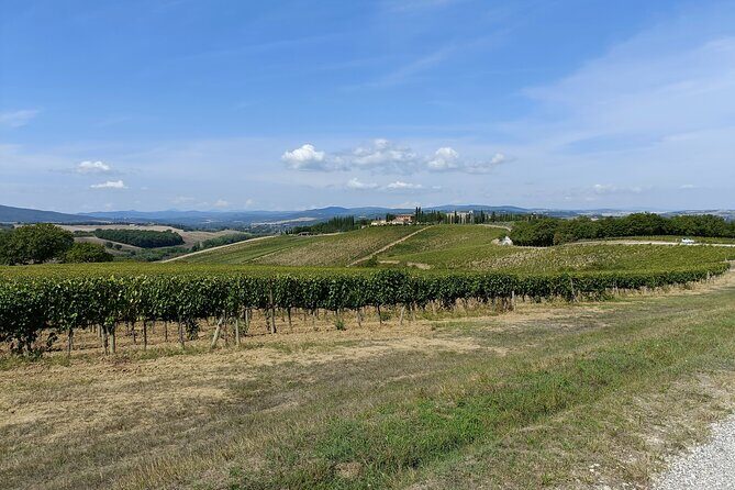 Brunello E-Bike Tour - Who Would Love This Tour?