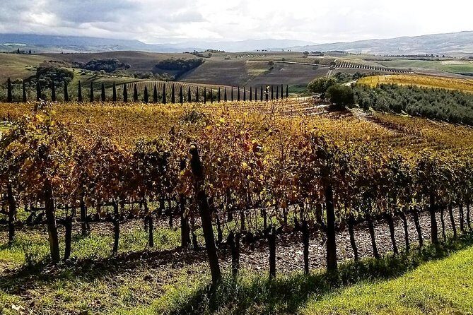 Brunello Wine Tour and Val D'Orcia Landscape - Extra touches that elevate the experience