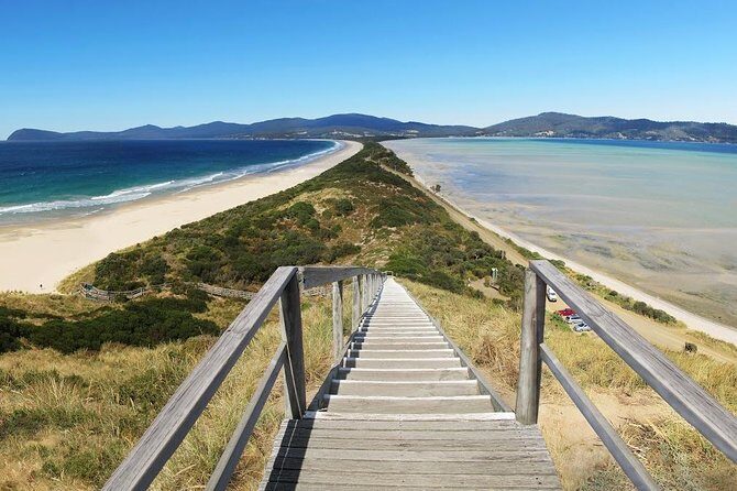 Bruny Island Day Tour Private Charter Service 3 days in advance - Introduction: Our Take on the Bruny Island Private Tour Experience