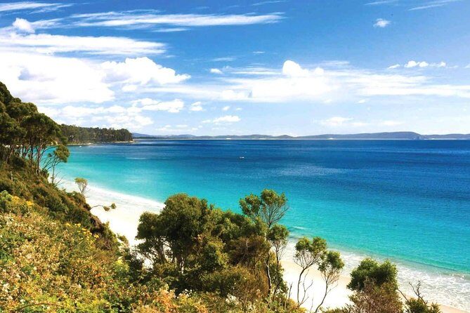Bruny Island Day Tour Private Charter Service 3 days in advance - Why Choose This Tour? What Makes It Stand Out