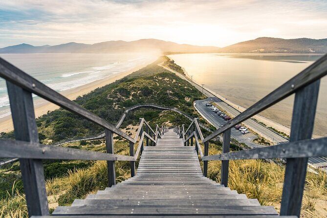 Bruny Island Day Tour Scenic Views And Local Tastings - The Itinerary in Detail: What to Expect