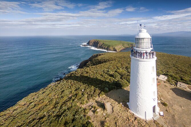 Bruny Island Food, Sightseeing, Guided Lighthouse Tour & Lunch - Key Points