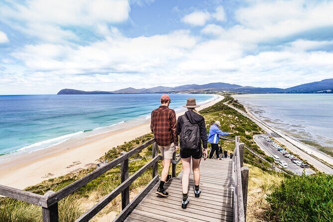 Bruny Island Food, Sightseeing, Guided Lighthouse Tour & Lunch - The Sum Up