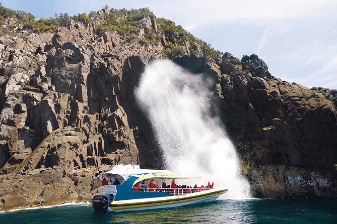 Bruny Island Wilderness Cruise from Adventure Bay, Bruny Island - An In-Depth Look at the Cruise Experience