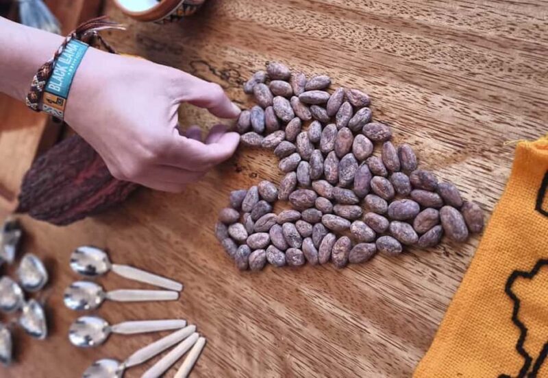 Brussels: 1h-Bean-to-Bar Chocolate Making Workshop - What to Expect During the Workshop
