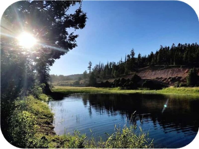 Bryce Canyon: 4-Hour, 4-Seat or 5-Seat ATV Rental - FAQs  