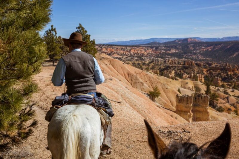 Bryce Canyon: Horseback Ride in the Dixie National Forest - What to Expect from the Bryce Canyon Horseback Ride