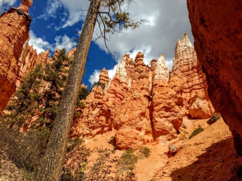 Bryce Canyon National Park Hiking Experience - An Overview of Bryce Canyon’s Unique Landscape