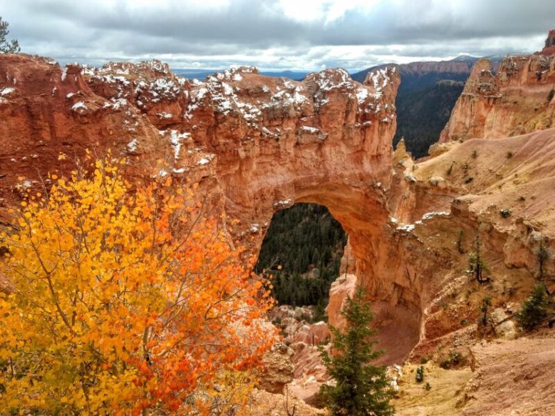 Bryce: Guided Sightseeing Tour of Bryce Canyon National Park - Final Thoughts