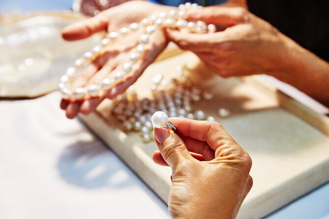 Buccaneer Explorer - Wet Season - What makes this experience stand out