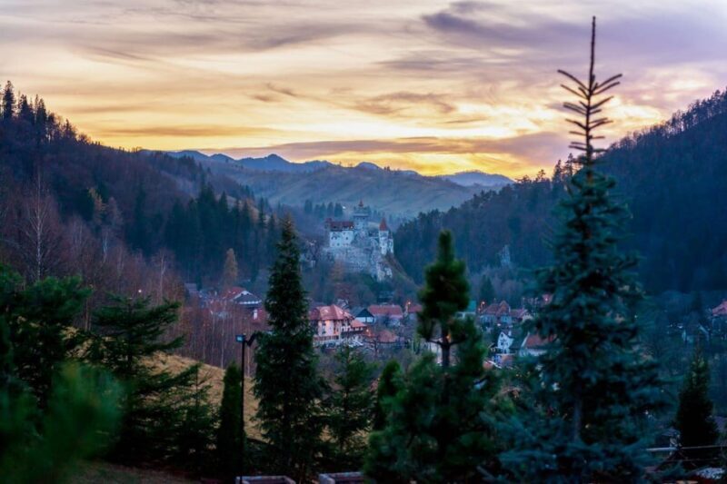 Bucharest: Bran Castle and Bear Sanctuary Small-Group Tour - Who Will Love This Tour?