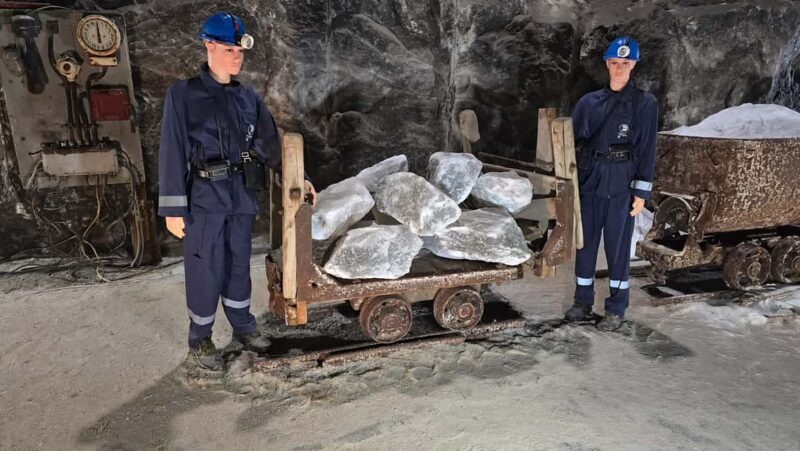 Bucharest Bus Tour: Salt mine & Dracula Tomb Half Day Trip - FAQs