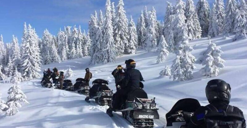 Bucharest: Carpathian Snowmobile / ATV Adventure Tour - Key Points