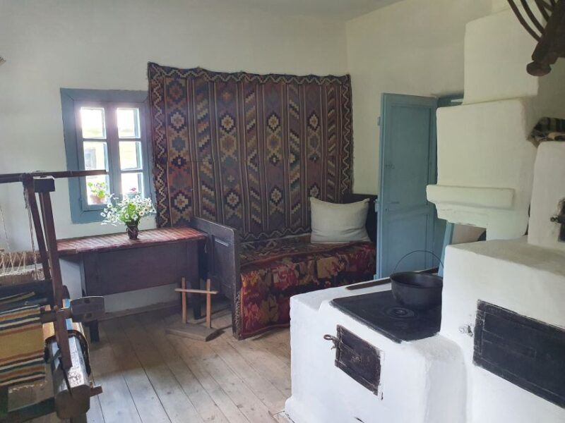 Bucharest City Tour 4h - Small Group Tour by Car - Who Would Enjoy This Tour?