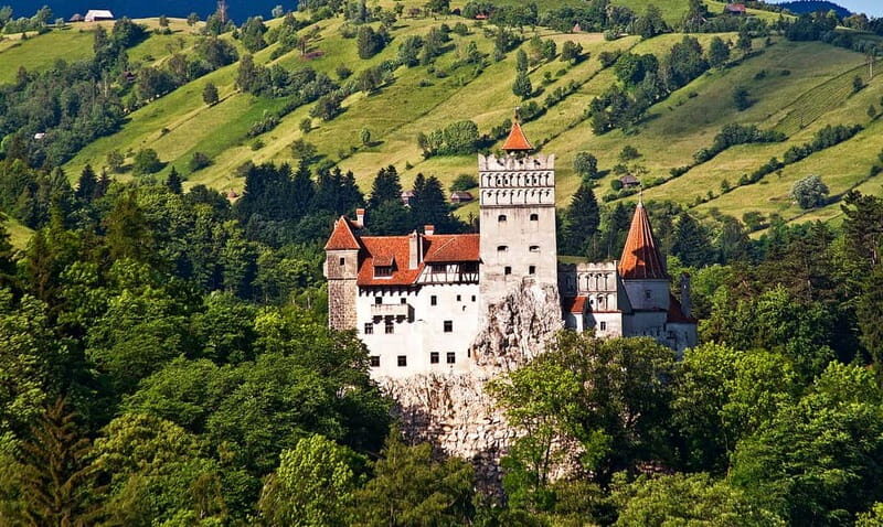 Bucharest: Day Trip to Bear Sanctuary, Bran Castle & Brasov - An In-Depth Look at What to Expect