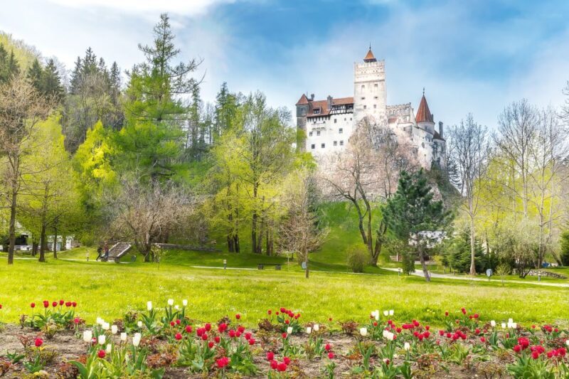 Bucharest: Day Trip to Dracula Castle, Peles Castle & Braov - Transportation and Timing: Making It Work