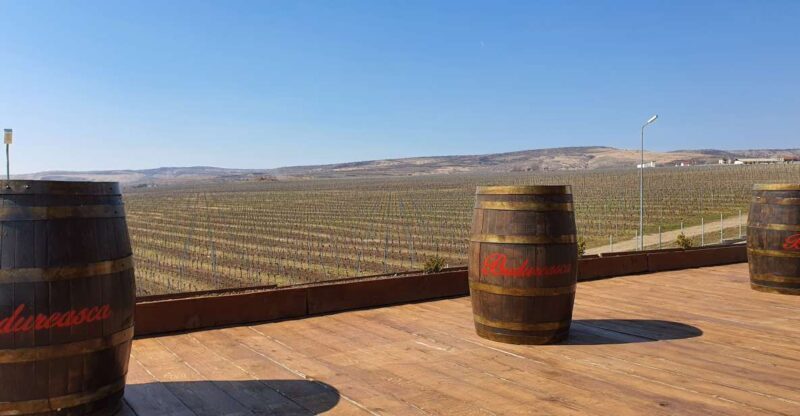 Bucharest: Dealu Mare Winery Private Trip with Wine Tasting - A Practical Overview of the Experience