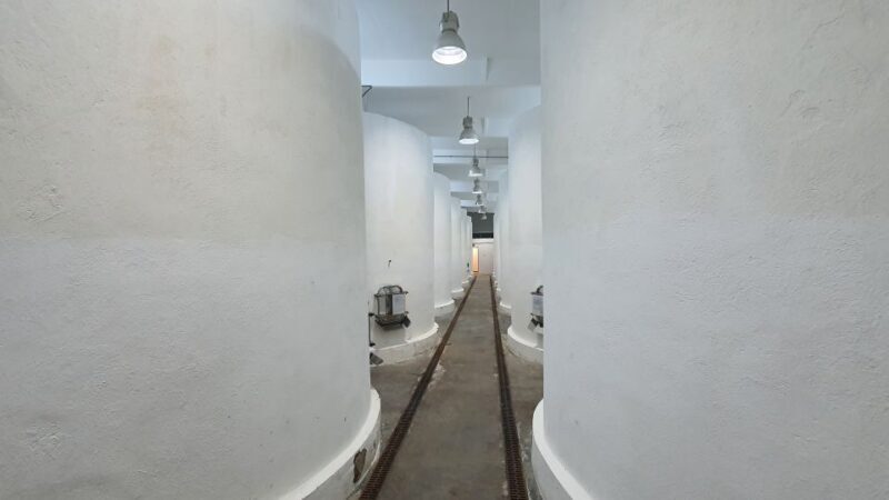 Bucharest: Dealu Mare Winery Private Trip with Wine Tasting - The Logistics and Practicality