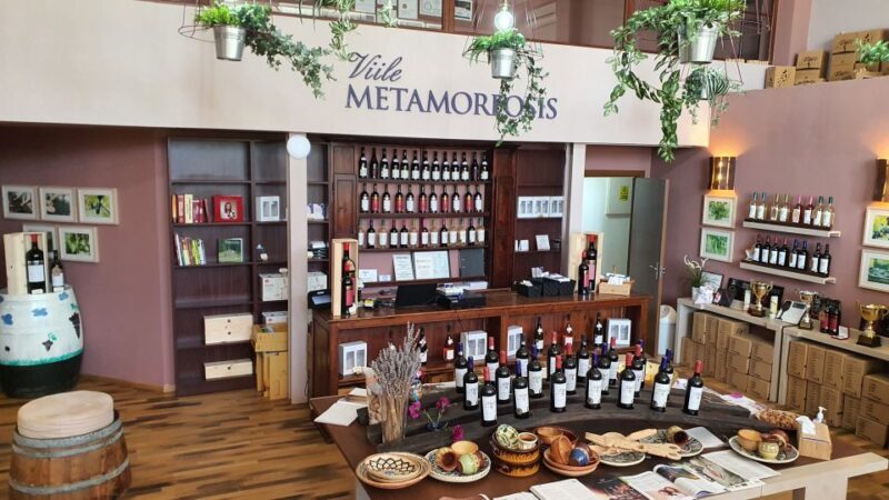 Bucharest: Dealu Mare Winery Private Trip with Wine Tasting - Final Thoughts on the Value and Suitability