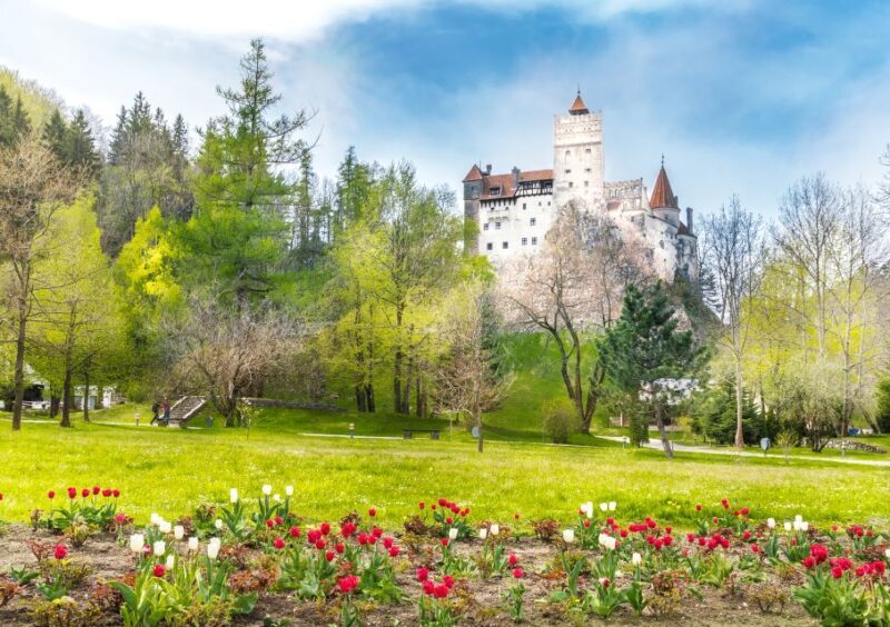 Bucharest: Dracula Castle, Peles Castle & Brasov Guided Tour - Key Points