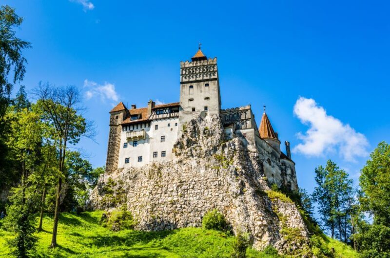 Bucharest: Dracula Castle, Peles Castle & Brasov Guided Tour - Real Insights from Travelers
