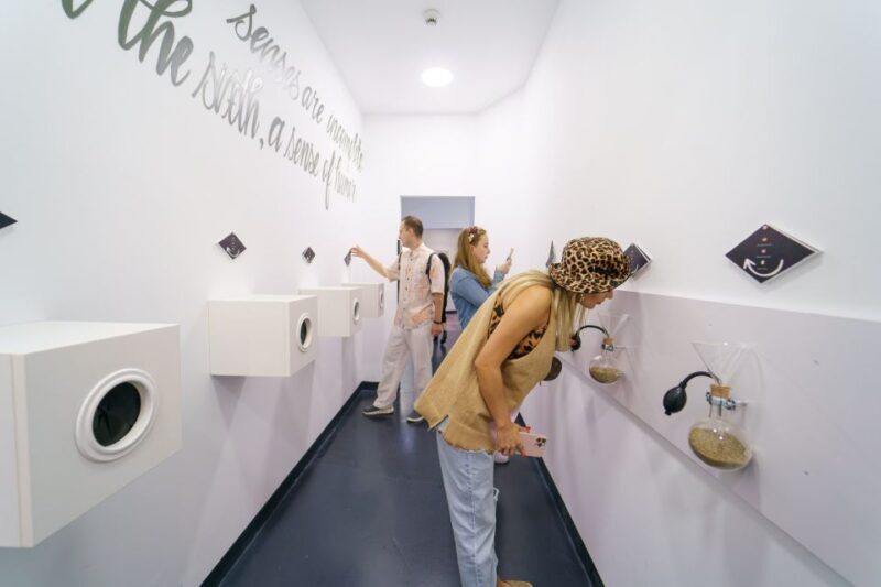 Bucharest: Museum of Senses Entry Ticket - Is It Worth It?