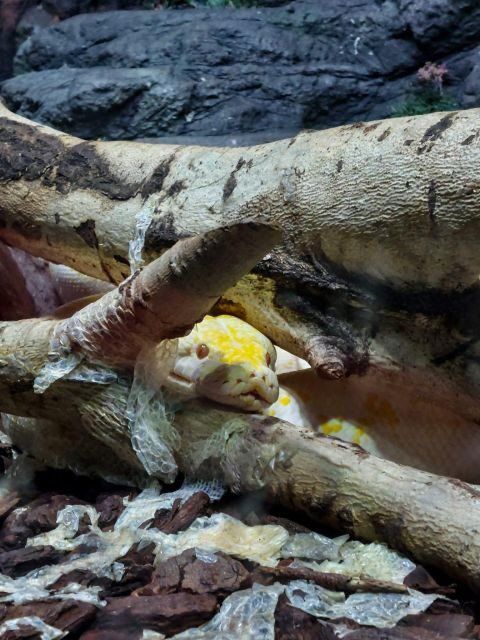 Bucharest: Reptiland Bucharest Entry Ticket - What You Can Expect from Your Visit to Reptiland Bucharest