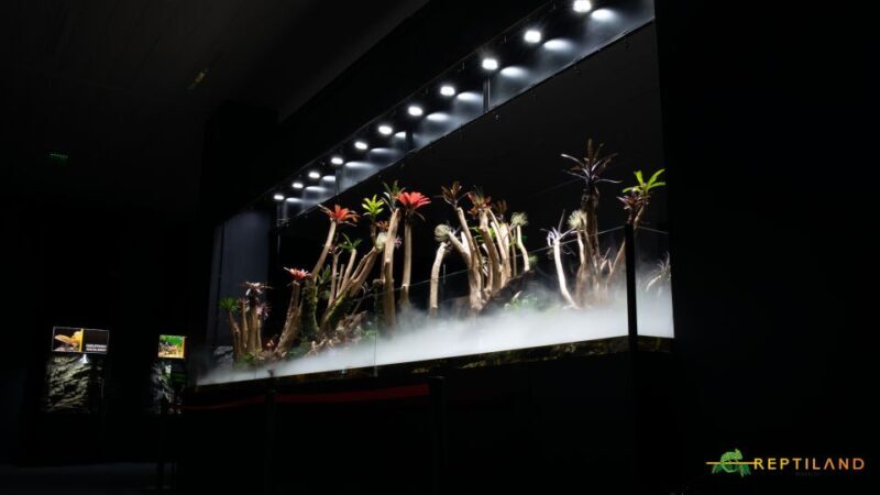 Bucharest: Reptiland Bucharest Entry Ticket - Practical Tips for Visiting Reptiland Bucharest