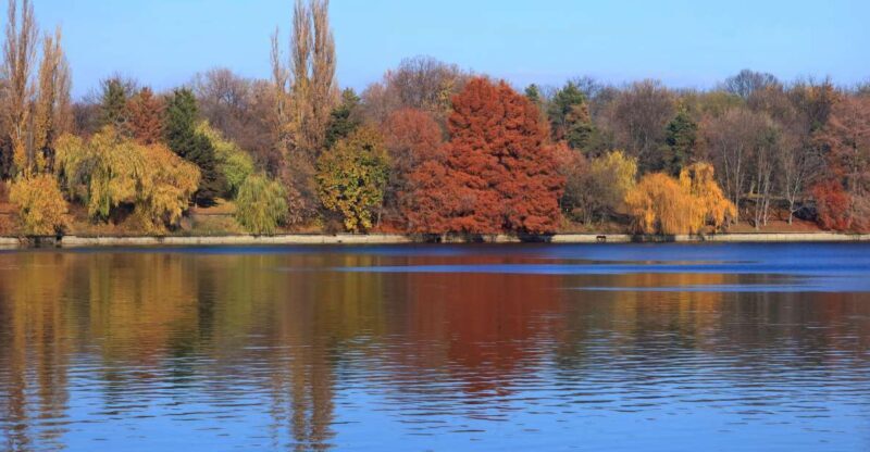 Bucharest Sightseeing Tour - Authenticity and Experience: What the Reviews Reveal