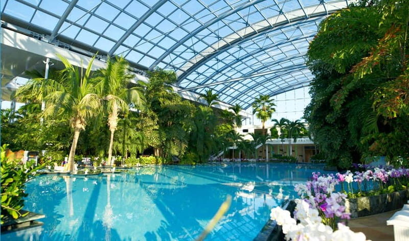 Bucharest: Therme Bucureti Entry Ticket with Transportation - Inside the Spa: What You’ll Find