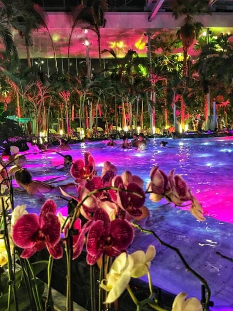 Bucharest: Therme Spa Night Experience with Transfer - Is This Tour Worth It?