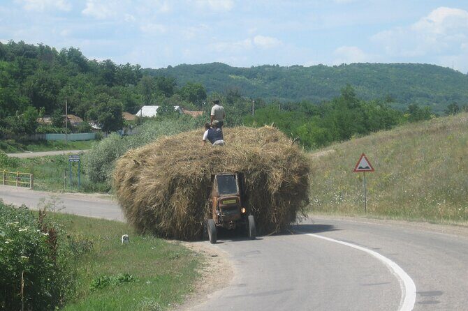 Bucovina Painted Monasteries Day Tour - Key Points