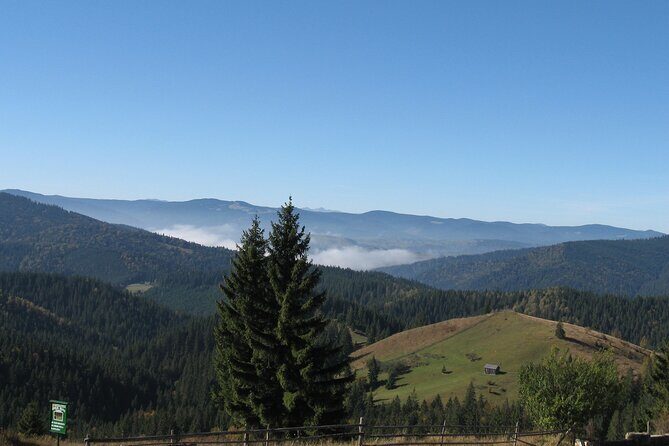 Bucovina Painted Monasteries Day Tour - The Sum Up: Why Choose This Tour?