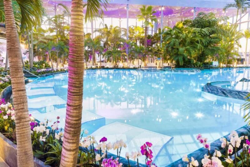 Bucuresti: Bucuresti Therme Transfer and Full-Day Access - Key Points