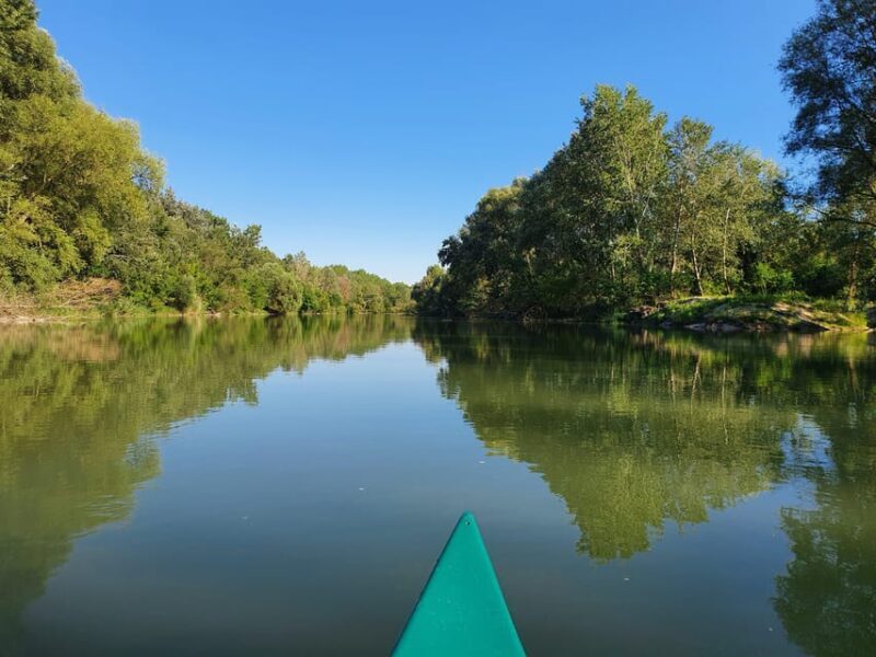 Budapest: Canoeing the Danube w or wo Sauna or Danube Beach - Practical Details and Considerations
