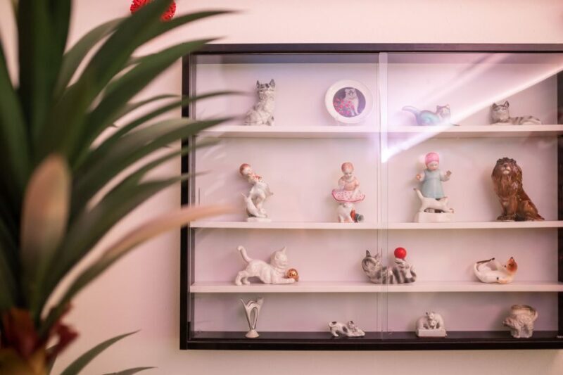 Budapest: Cat Museum Budapest Entry Ticket - FAQ