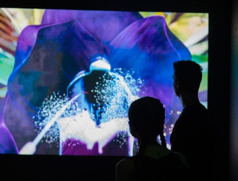 Budapest: Cinema Mystica Entry Ticket - Key Points